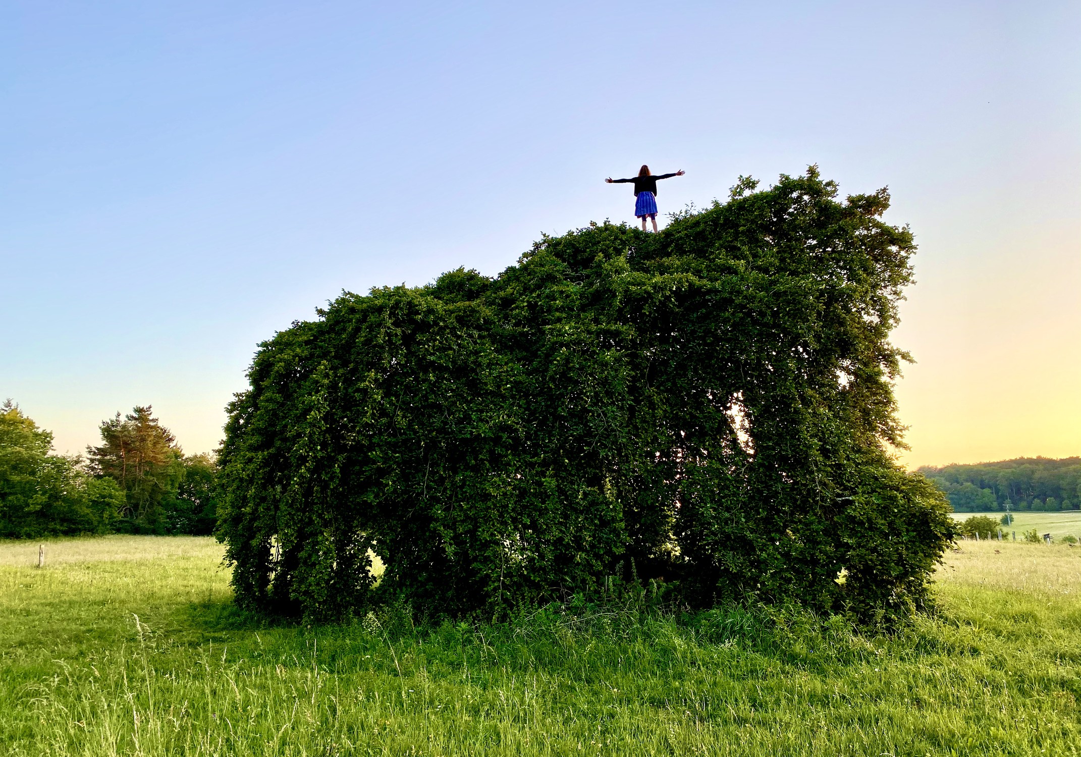 LWL | QuaSiE-Downloads - LWL-Koordinationsstelle Sucht